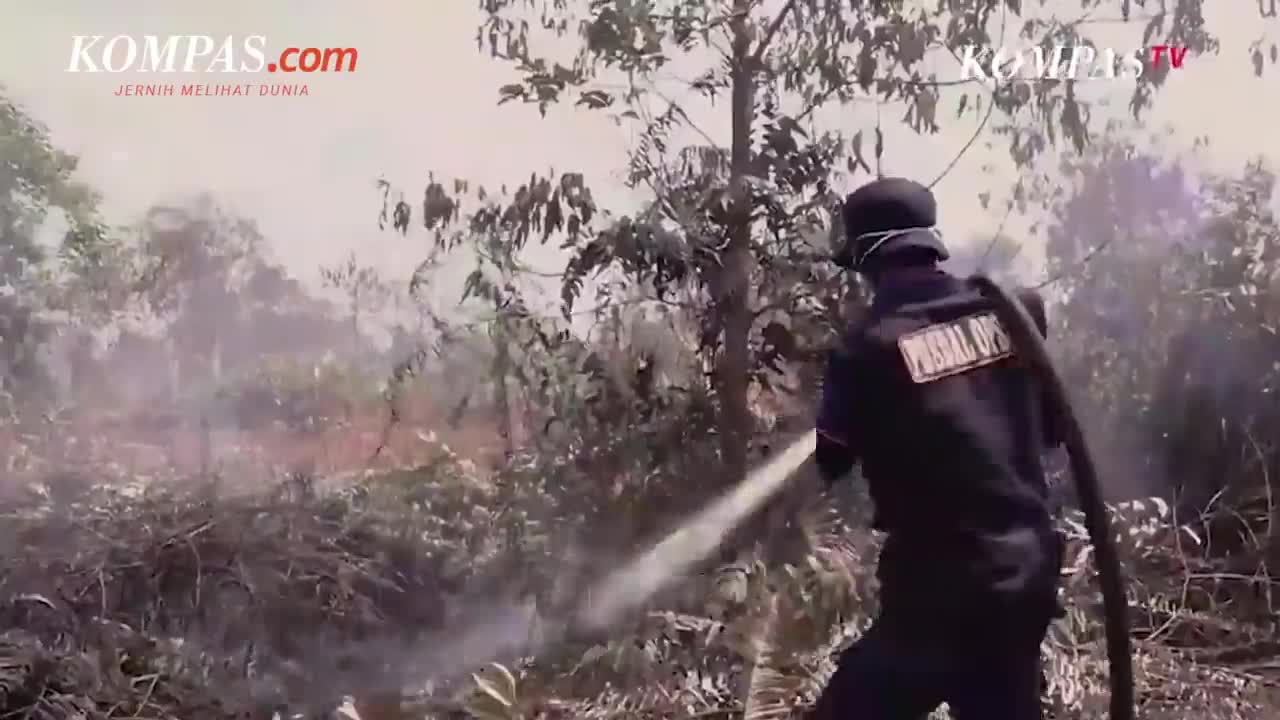 Berita Harian Dampak Suhu Tinggi Terbaru Hari Ini - Kompas.com