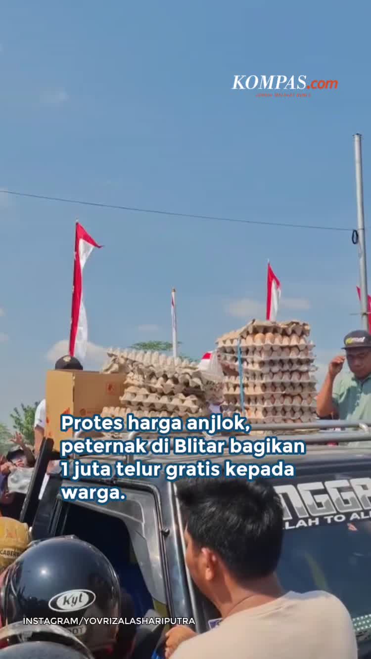 Peternak Blitar Bagikan 1 Juta Telur Gratis, Protes Harga Anjlok dan ...