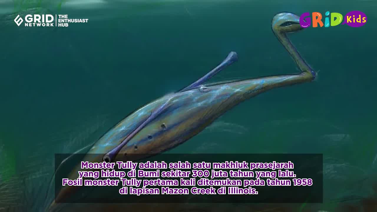 Video: Apa Itu Monster Tully? Makhluk Zaman Prasejarah yang Wujudnya ...