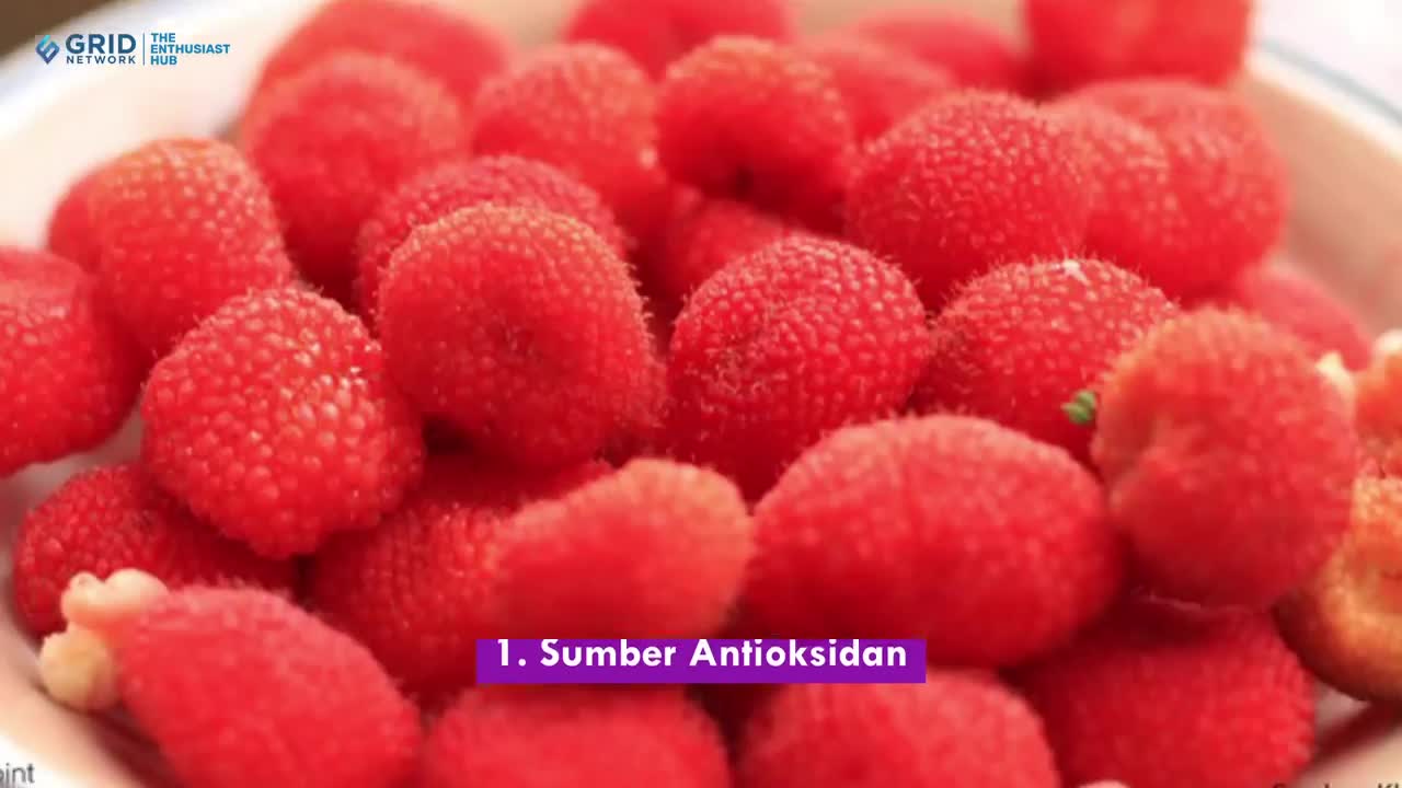 Video: Mengenal Manfaat Buah Arbei, Buah yang Jadi Camilan Pendaki Gunung